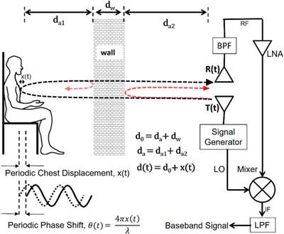 Frontiers | Through the wall human heart beat detection using single ...
