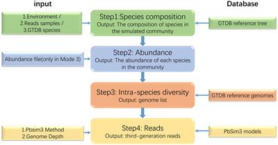 Frontiers | MCSS: microbial community simulator based on structure