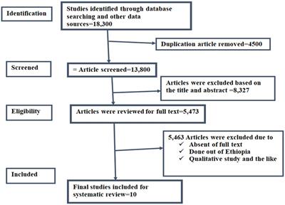Frontiers | Examining students’ level of understanding toward COVID-19 ...