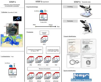 Frontiers | Are microplastics efficient remediation tools for removing ...