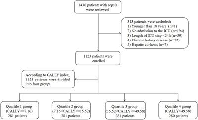 Frontiers | Clinical predictive value of the CRP-albumin-lymphocyte ...