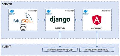 Frontiers | ViralFP: A Web Application of Viral Fusion Proteins