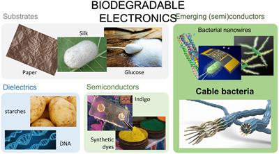 Frontiers | Biomaterials and Electroactive Bacteria for Biodegradable ...