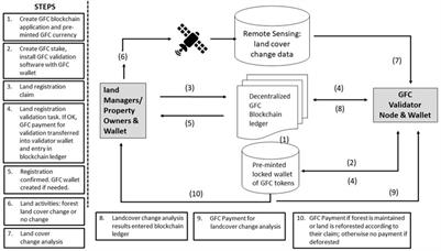 Frontiers | Advancing sustainability with blockchain-based incentives ...