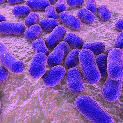 Frontiers in Antibiotics | Research Topics