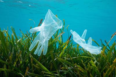 Frontiers in Marine Science | Marine Pollution