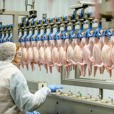 Frontiers in Animal Science | Research Topics