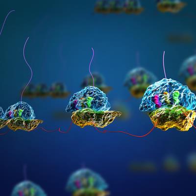 Frontiers in Genetics