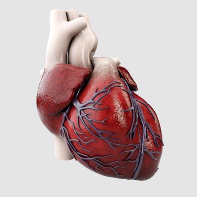 Frontiers in Cardiovascular Medicine | Heart Failure and Transplantation