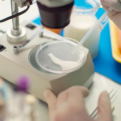 Frontiers in Food Science and Technology | Research Topics