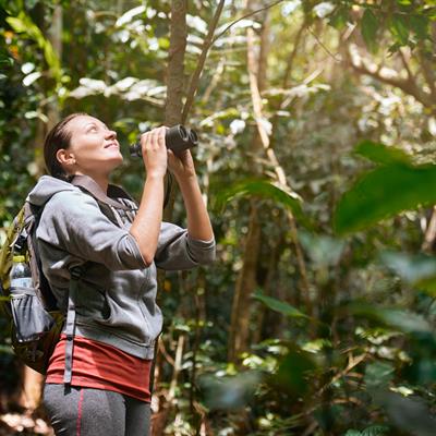 Frontiers in Sustainable Tourism | Research Topics