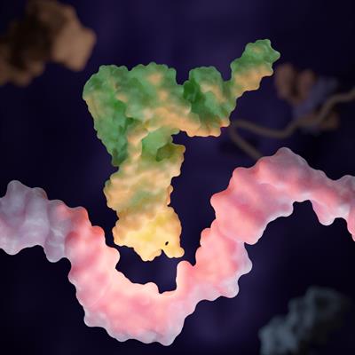 Frontiers in Chemical Engineering | Research Topics