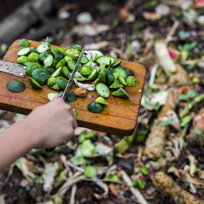 Frontiers in Sustainable Tourism | Research Topics