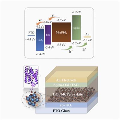 Frontiers in Photonics | Research Topics