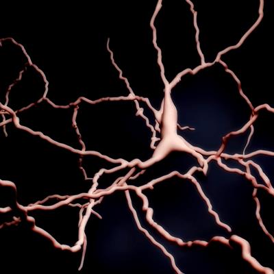 Frontiers in Molecular Neuroscience | Research Topics