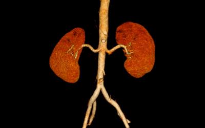 Frontiers in Clinical Diabetes and Healthcare | Diabetes Nephropathy