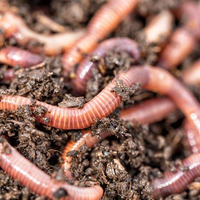 Frontiers in Chemical Engineering | Research Topics