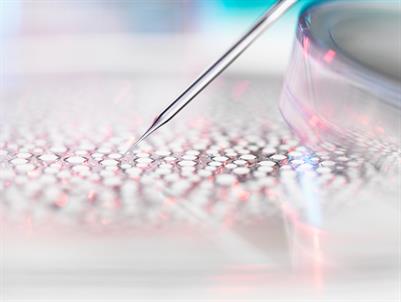 Frontiers in Cell and Developmental Biology | Stem Cell Research