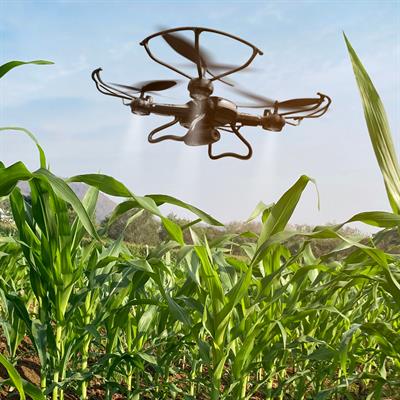 Frontiers in Agronomy | Research Topics