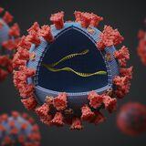 Frontiers in Virology | Fundamental Virology