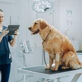 Frontiers in Veterinary Science | Research Topics